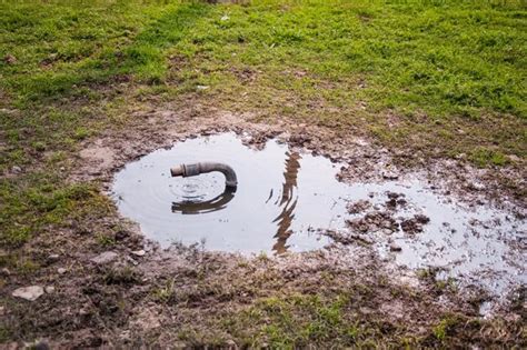 Premium Photo Reflection Of Grass In Puddle