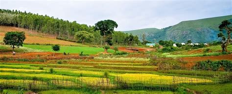 5 Araku Valley Tour Packages At ₹5250 Pp Lowest Price Online 20 Off