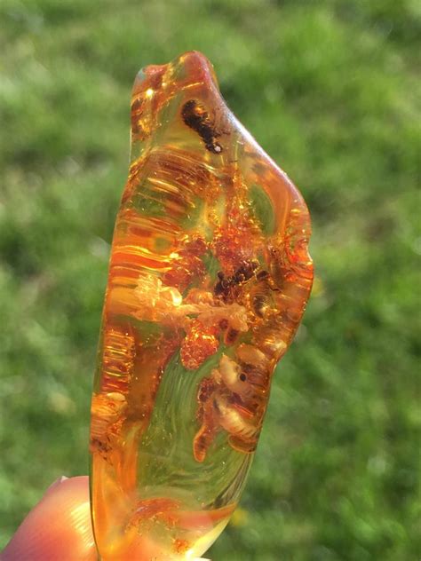 Amber Fossil Rock Natural Collectible Specimen Copal