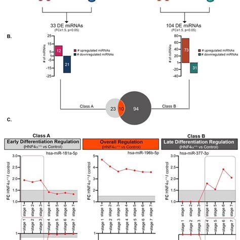 Comparison Of Conventional And Current Interpretations Of Mesenteric