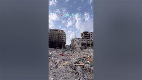 فلسطين تنتصر Youtube