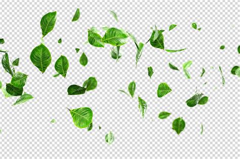 Premium Psd Fresh Green Leaves Overlay Greenery