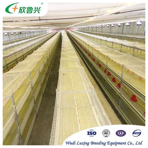 Poultry Broiler Farm Breeding Equipment Automatic Battery Cage With