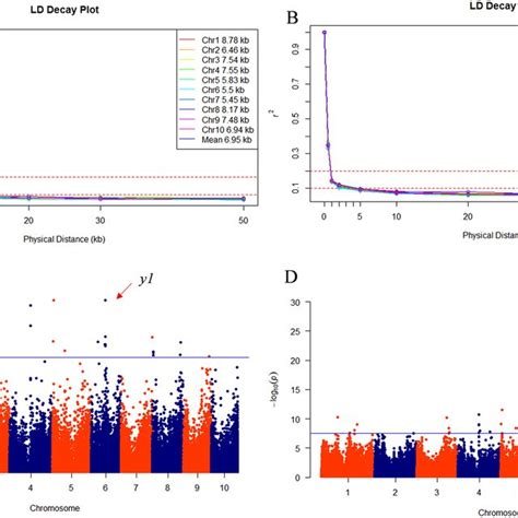 pdf applications of genotyping by sequencing gbs in maize genetics