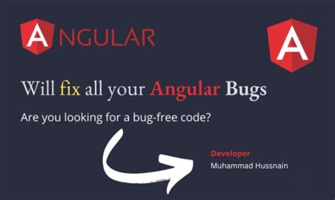 Fix Bugs And Develop New Features According To Requirements By Hussnain