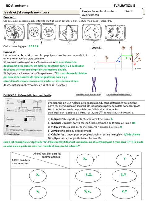 Devoir Maison Svt 3eme Chromosomes Ventana Blog