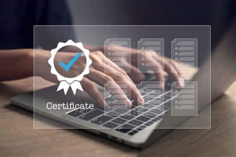 LMS Vs LXP Whats The Difference Pros Cons