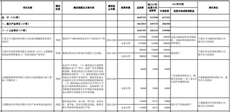2023年宁夏重点建设项目公布，中欣晶圆、天通银厦等在列