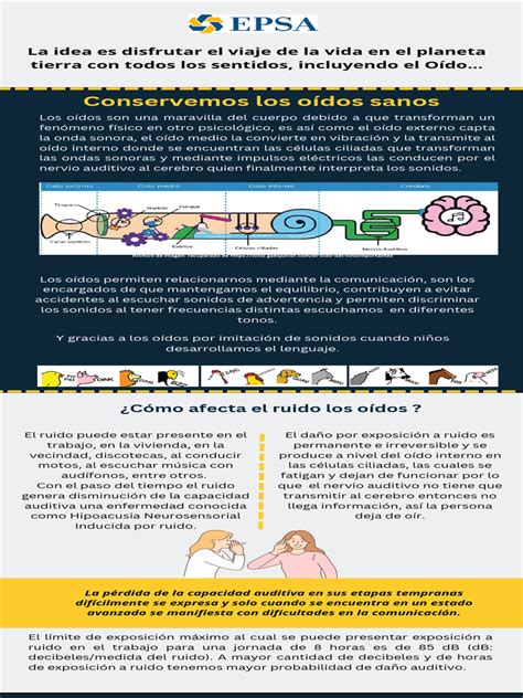 Conservación Auditiva Epsa Pdf