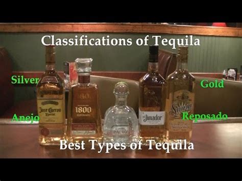 Difference Between Gold Tequila And Silver Tequila Difference Wiki