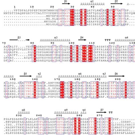 Alignment Of 17β Hsd 0095 Sequence With Other 17β Hsd Sequences M Download Scientific Diagram