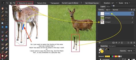 Using Patch Tool To Define A Body Part In A Photo Desktop Questions MacOS And Windows