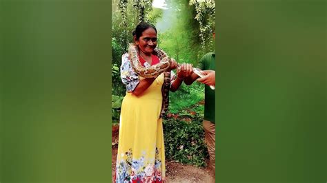 පිඹුරා එක්ක පොටෝ ගන්න එන්න Youtube