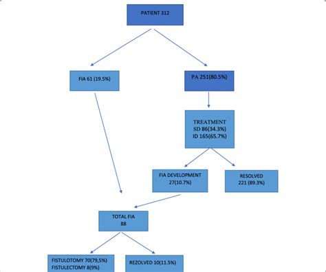 Summary Management And Outcome Of Perianal Abscess Download