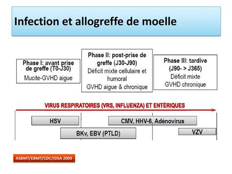 Infections Virales Du Sujet Immunod Prim Ppt T L Charger