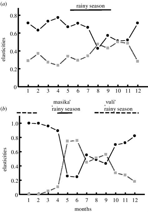monthly elasticity coefficients estimated from the matrix models