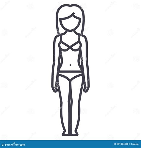 Woman Body Shapefemale Sillhouete Frontlingerie Vector Line Icon