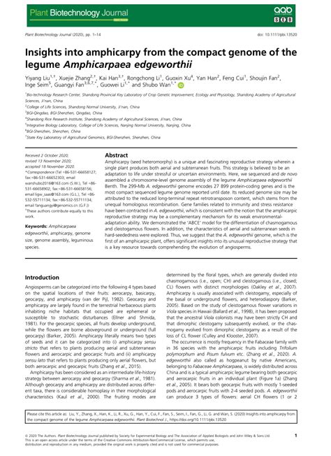 PDF Insights Into Amphicarpy From The Compact Genome Of The Legume