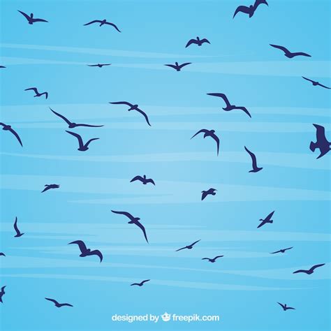 Birds Flying Background