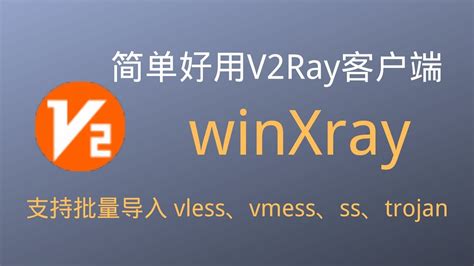Xray 专属客户端 Winxray 使用教程 2022年9月20日 高清pdf下载