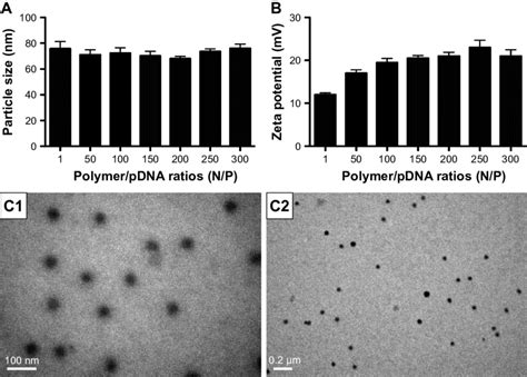 Characteristics Of Pdapei Pdna Complexes Notes A Particle Size B