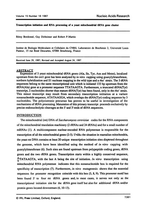 Transcription Initiation And Rna Processing Of A Yeast Mitochondrial