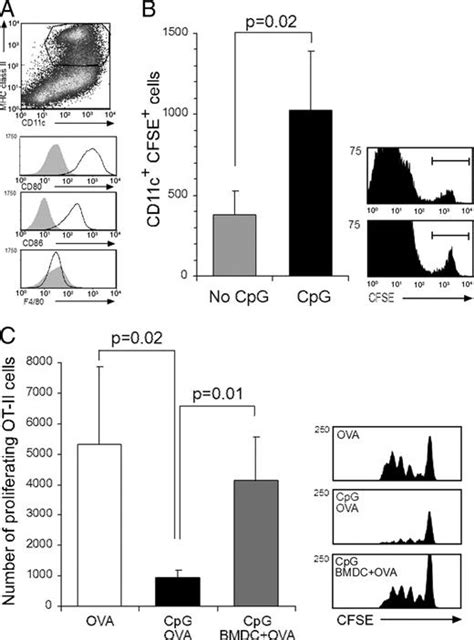 Impaired Lung Dendritic Cell Migration And T Cell Stimulation Induced