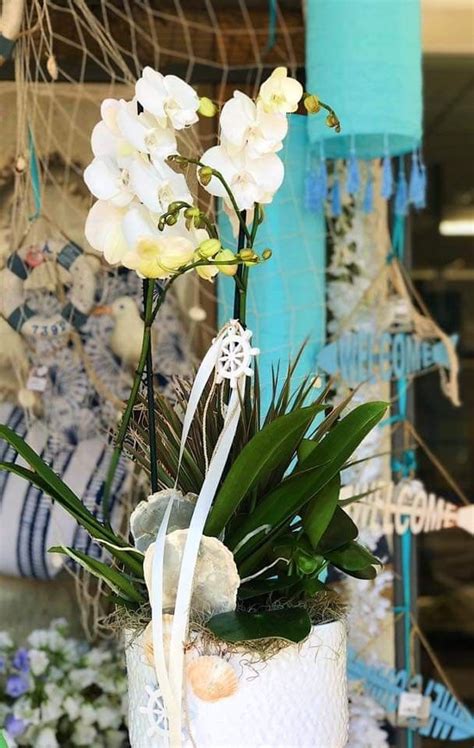 Pin Von Gerti Strassmair Auf Arrangement Orchideen Orchideen