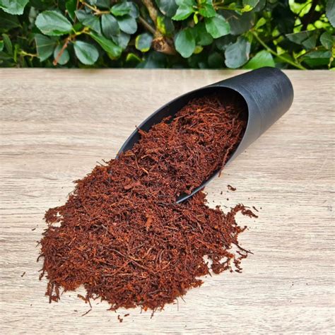 Premium Tree Fern Fiber Sustainable Substrate For Orchids And Aroids