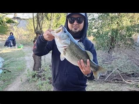Pesca de lobina en agua cristalina Zman derrota a Strike King y pesqué