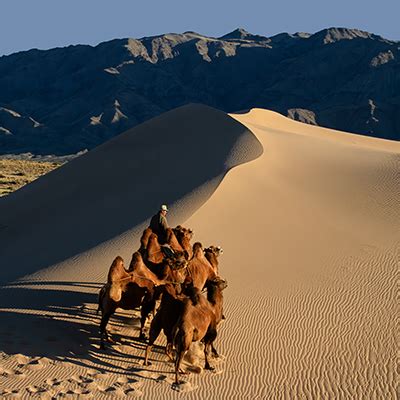 Gobi Desert Mongolia