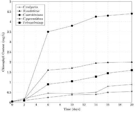 Chlorophyll Content Progression Of Five Microalgae Strains In Batch