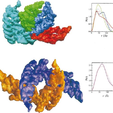 Models Of The P Rna Monomer And The Two P Rnas In The Holoenzyme Dimer