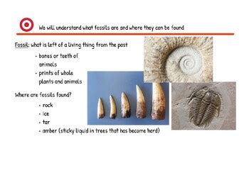 Fossils Presentation By LovingLearningin5th Teachers Pay Teachers