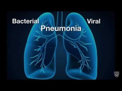What Is The Difference Between Pneumonia And Pneumonia Health