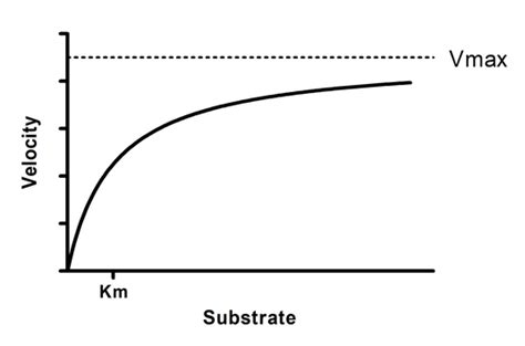 GraphPad Prism Curve Fitting Guide Entering Rules For Initial Values