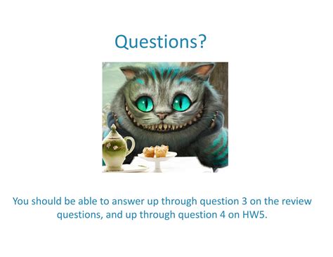 Description Of Morphologytypes Developmentand Examples Ppt