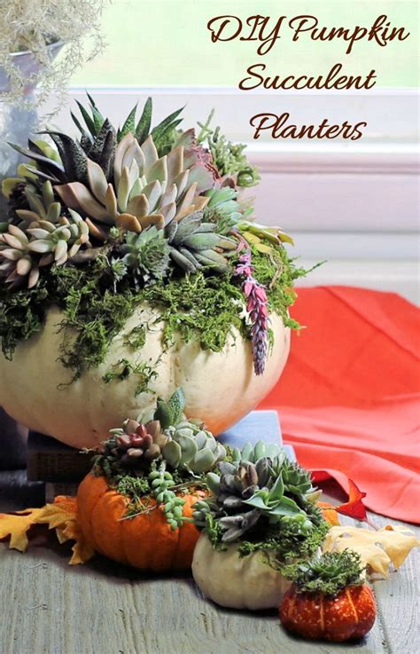DIY Pumpkin Succulent Planters Easy Fall Pumpkin Centerpiece