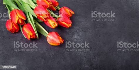 어두운 돌 테이블에 빨간 튤립의 꽃다발 봄 배경입니다 축하를 위한 공간 복사 0명에 대한 스톡 사진 및 기타 이미지 0명