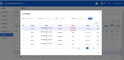 Bug 8907 【基层治理队伍分析 社会组织】正式环境。其他组织。社工组织明细，列表都显示了负责人，但是明细里面 对应负责人的值没有显示
