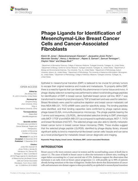 Pdf Phage Ligands For Identification Of Mesenchymal Like Breast