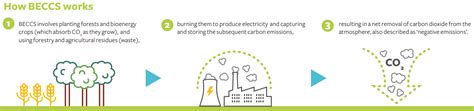 Bioenergy With Carbon Capture And Storage Role In Climate Mitigation