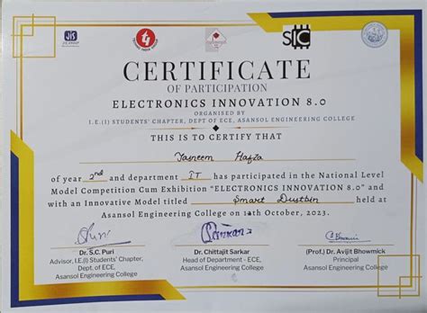 Tasneem Hafza On Linkedin Participated In Electronics Innovation A National Level Model