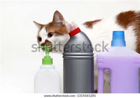 374 Cat Cleaning Products Royalty Free Photos And Stock Images