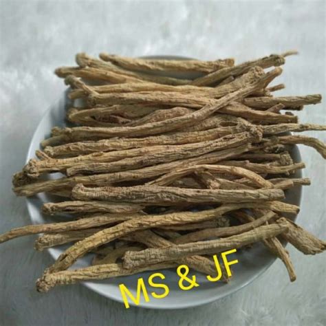 Jual Tong Sim Premium Dang Shen Tong Sem Di Seller Medika 23 Duren