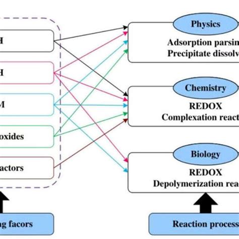 Schematic Diagram Of Influencing Factors For The Migration And Download Scientific Diagram