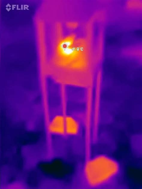 Meet The Robo Bunny This Tiny Furry Robot Is Taking On Invasive Pythons In Florida