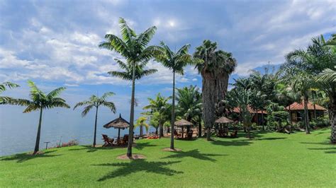 Rubavu Destination Shalom Safaris