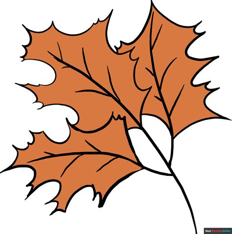 Fall Leaves Drawing How To Draw Fall Leaves Step By Step 60 OFF