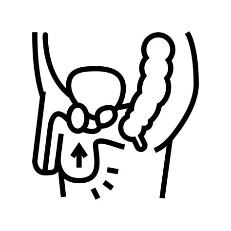 Cryptorchidism Disease Line Icon Vector Illustration 10327174 Vector